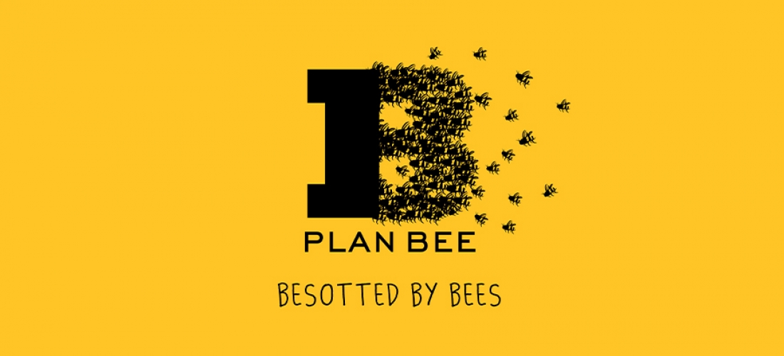 Plan Bee - Kelvin Capital